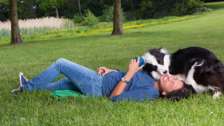 Zeit mit Hund - Harmonisches Zusammenleben mit Hund – Bedürfnisse von ...